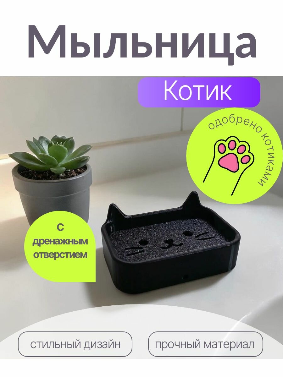 Котик