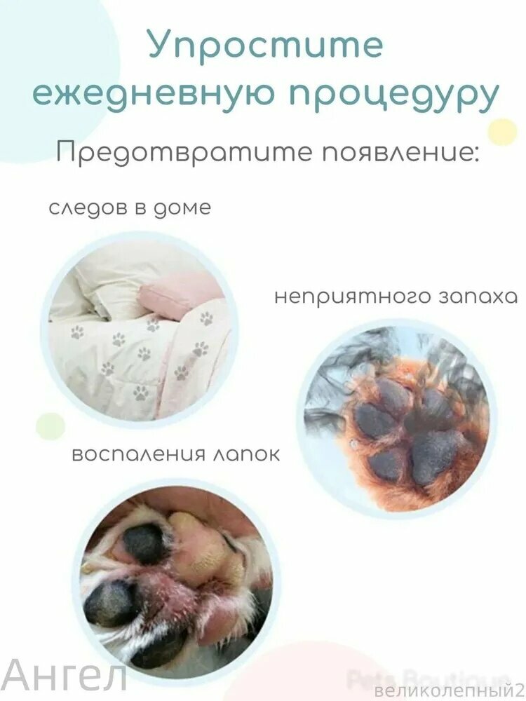 Лапомойка — фото 1