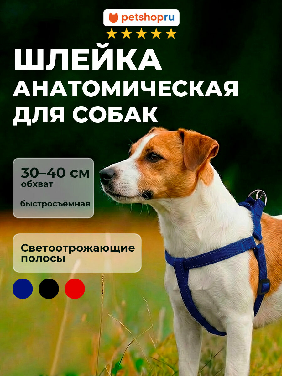PETSHOP Шлейка для собак "Турбо", обхват 30-40 см, синяя