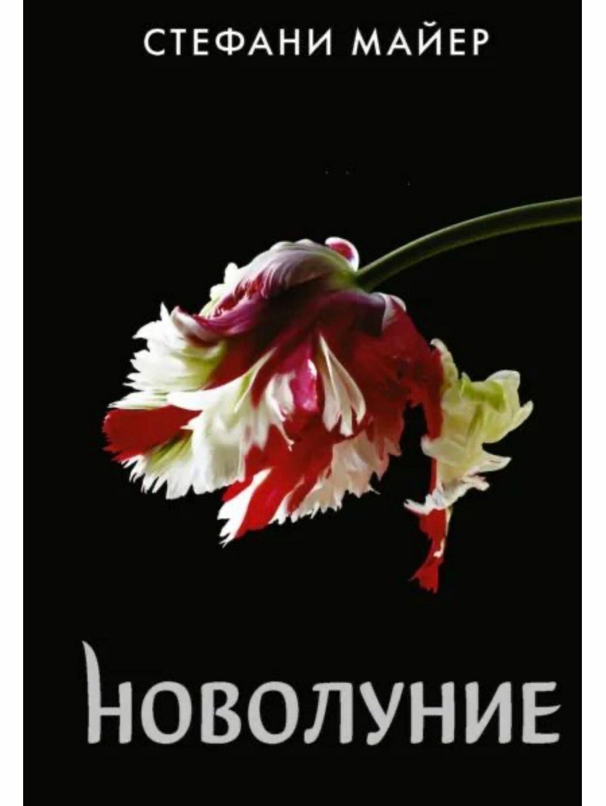 Новолуние Майер Стефани новое офомление