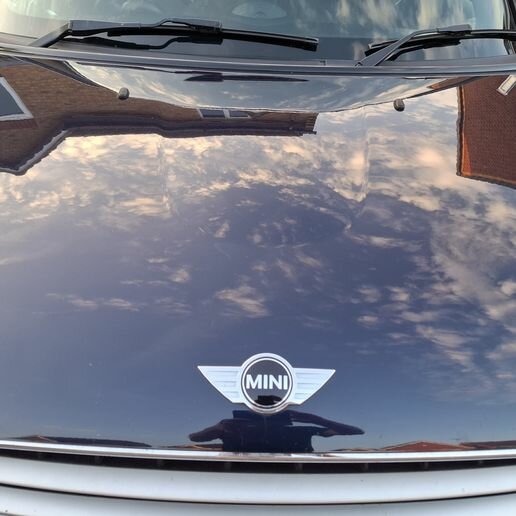 BMW Mini Cooper Пылезащитная крышка гайки крепления стеклоочистителя