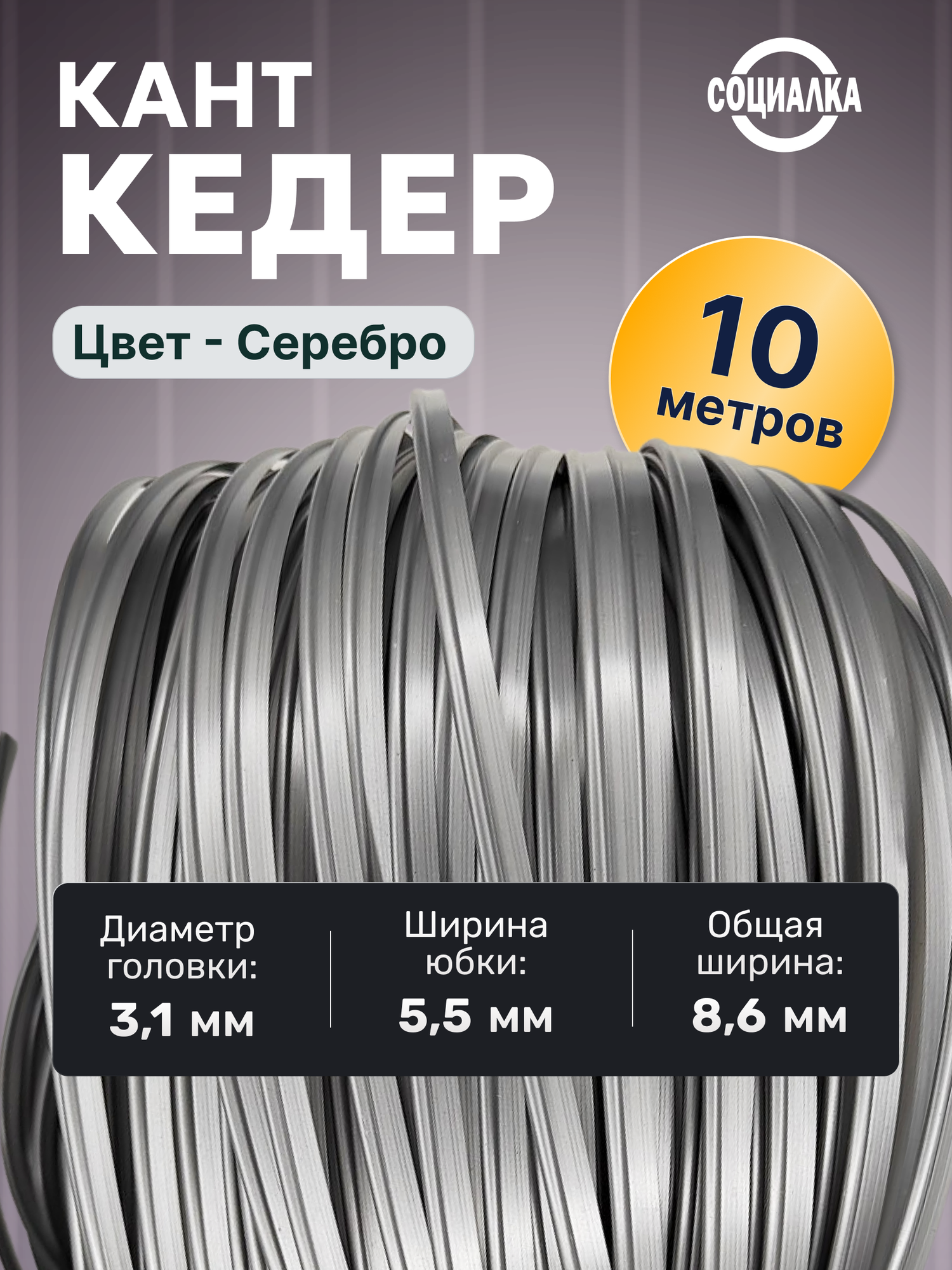 Кедер ( кант, жилка) для сумок, авточехлов и одежды, намотка 10м, серебро/размер: ширина головки 3,1мм; длина юбки 5.5мм