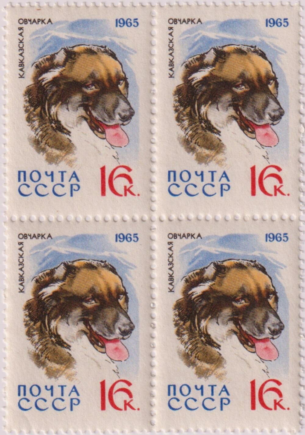 Почтовые марки СССР 1965г. "Кавказская овчарка" Собаки MNH