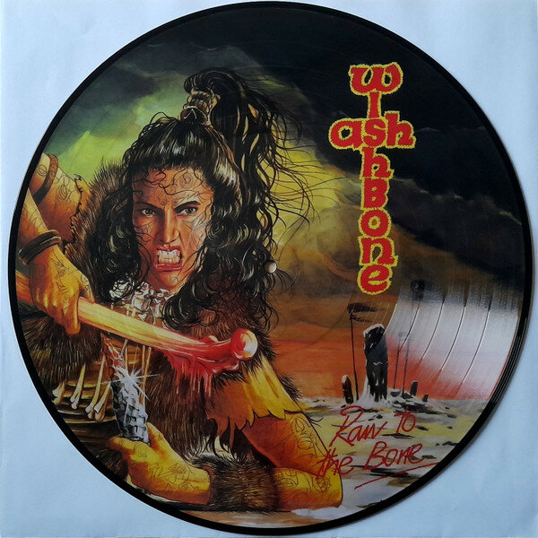 Wishbone Ash. Raw To The Bone (LP Ltd/Picture Disc/Виниловая пластинка)