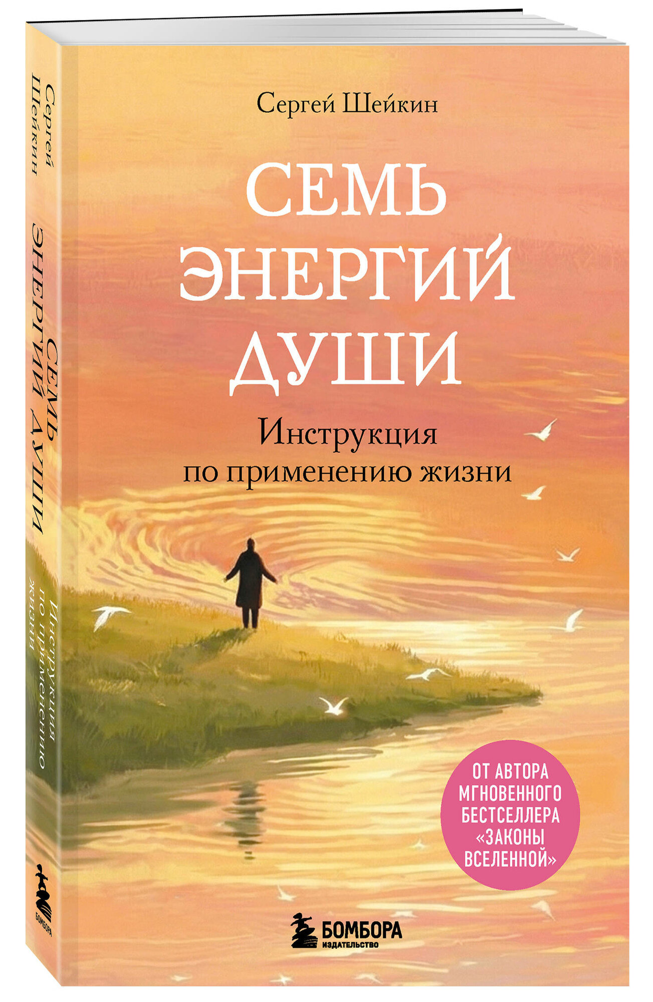 Шейкин С. С. Семь энергий души. Инструкция по применению жизни