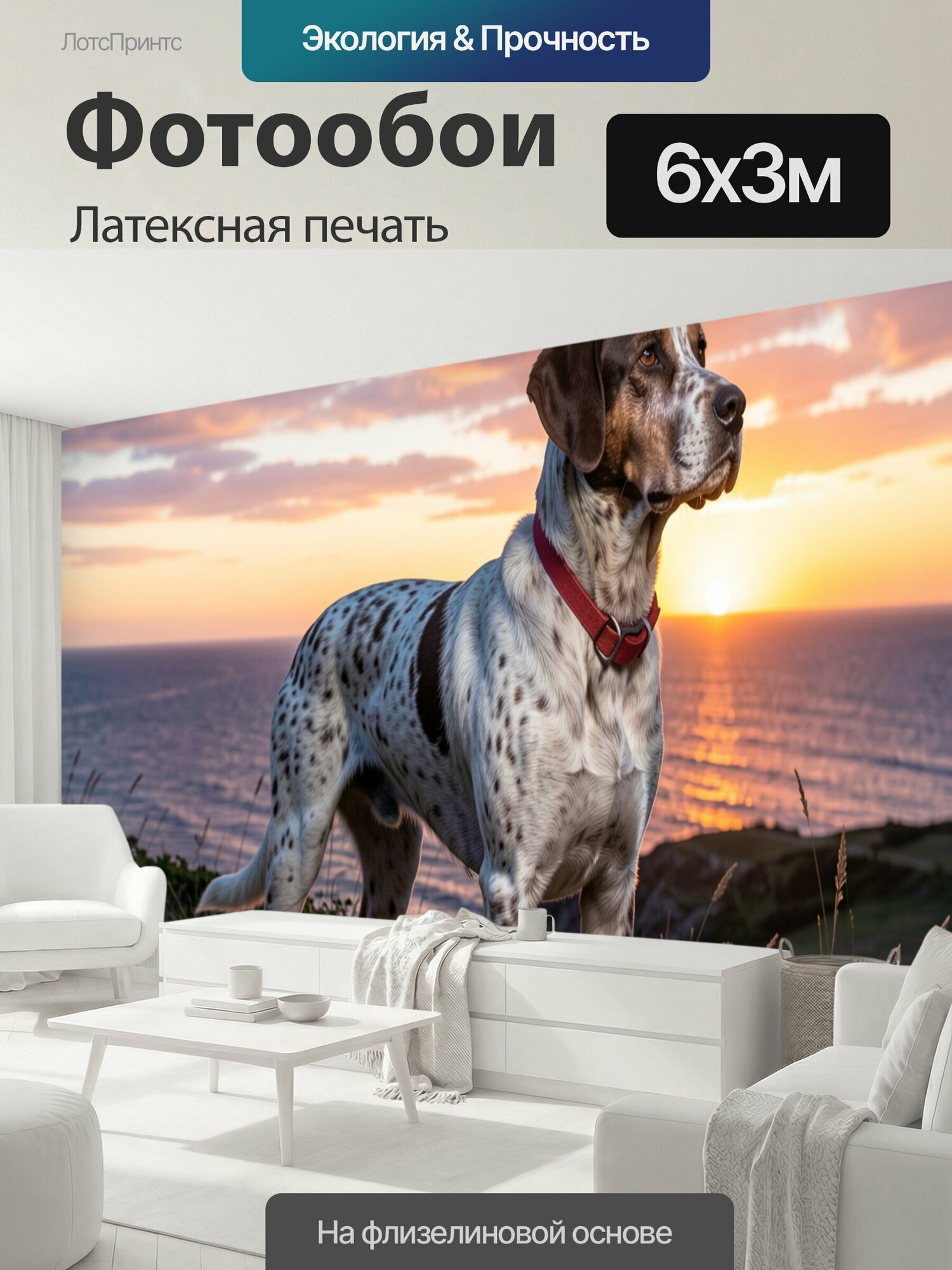 Фотообои моющиеся ударопрочные "Охотничья собака на закате. Атлетичный пёс с красным ошейником стоит на береговом утёсе, морская гладь и." 600x300 см. латексная печать