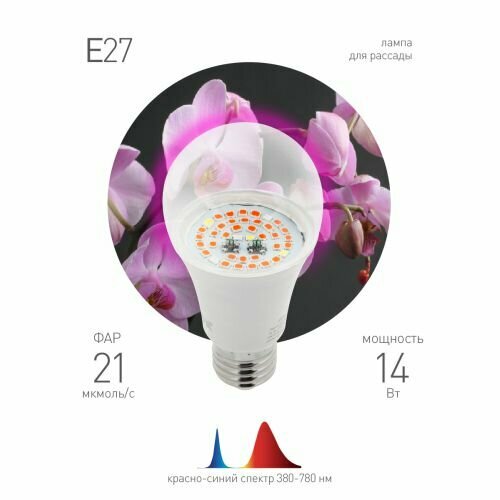 Лампа светодиодная FITO-14W-RB-E27 14Вт E27 для растений красн./син. спектр Эра Б0050602