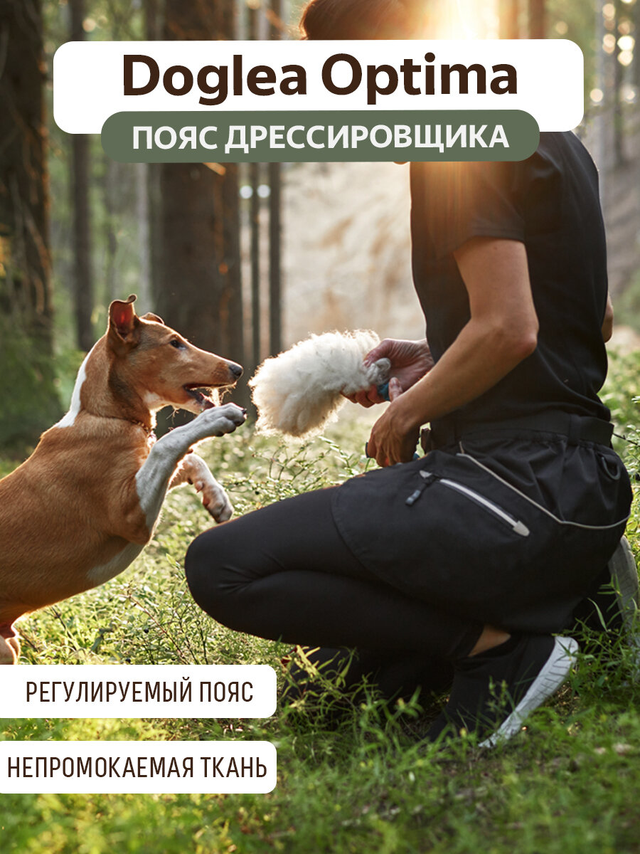 Сумка для лакомств, пояс-юбка дрессировщика DOGLEA Optima Черный L