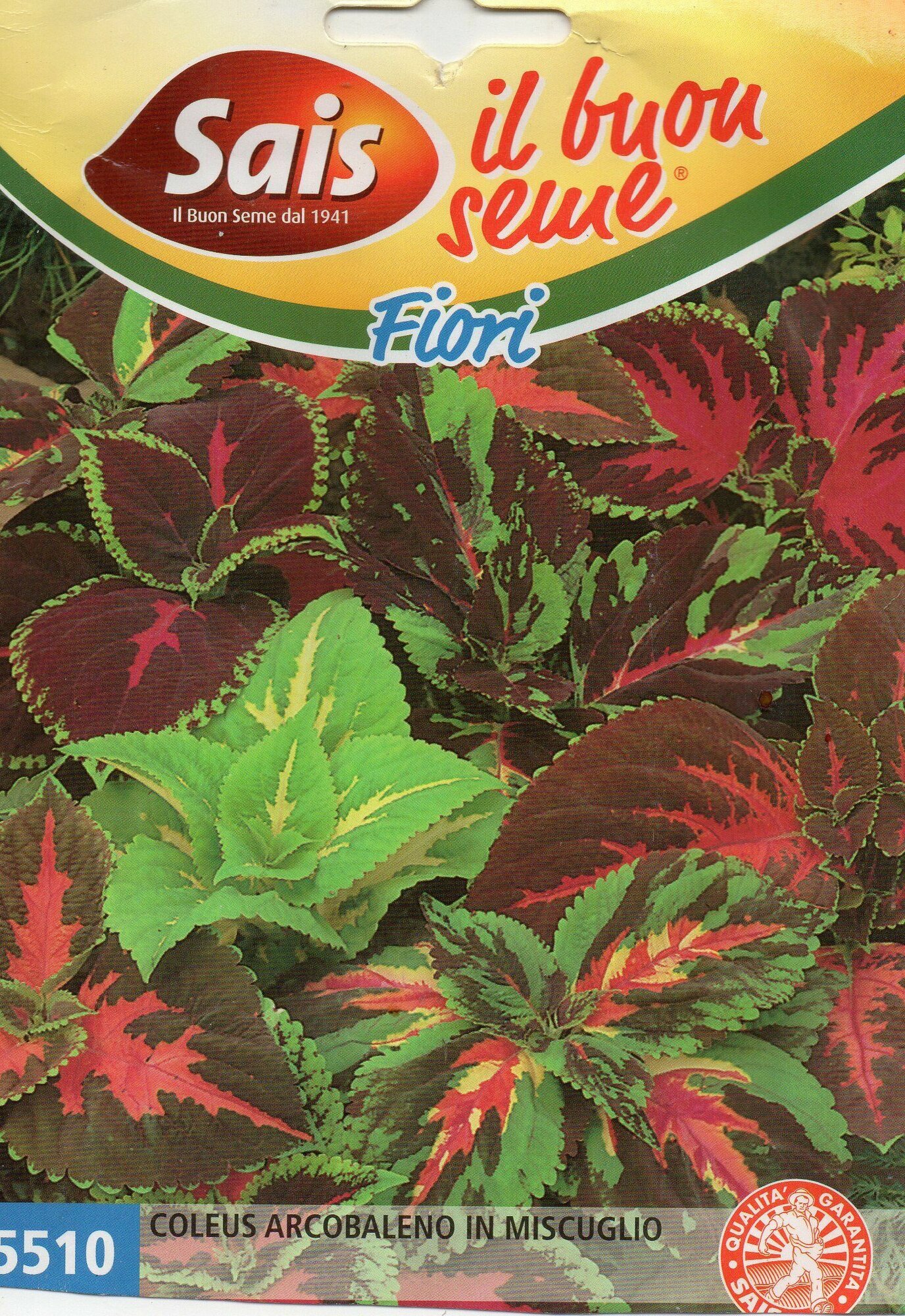 Колеус смесь(Coleus Arcobaleno in Miscuglio)Итальянские семена,