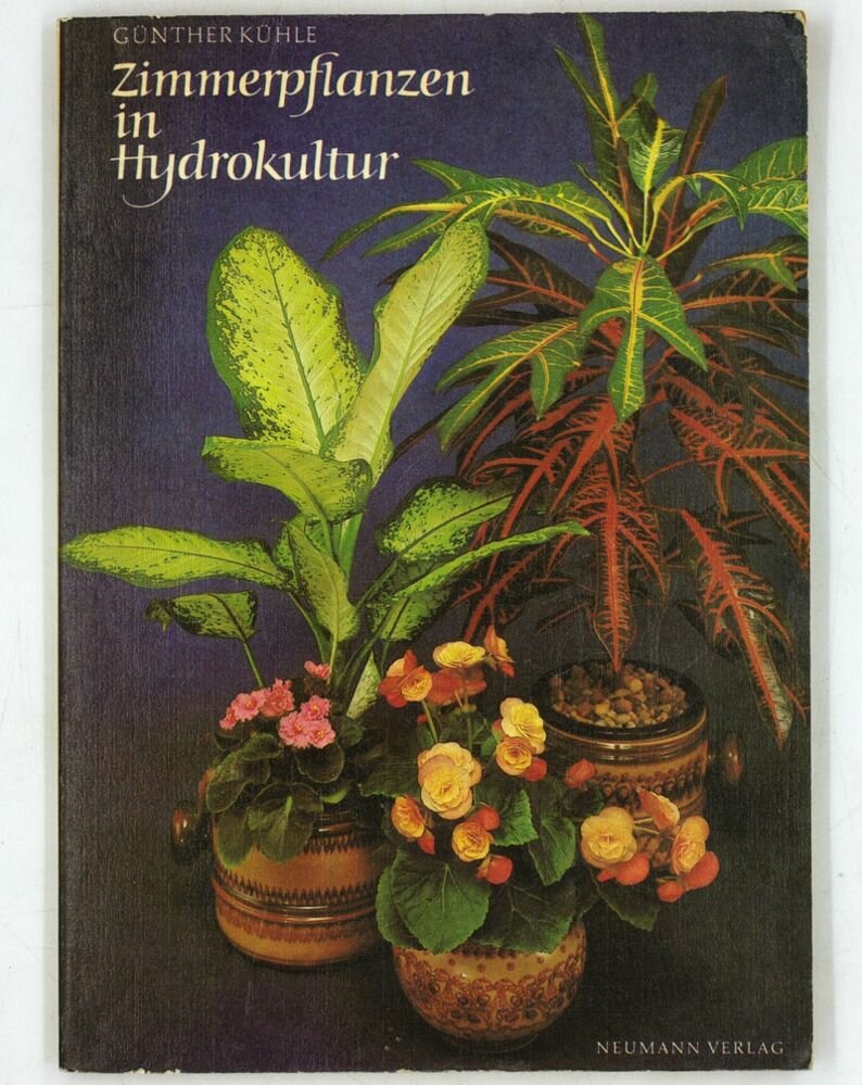 Zimmerpflanzen in Hydrokultur