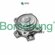 BORSEHUNG B11710 Ступица