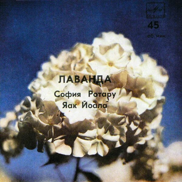 София Ротару и Яак Йоала - Лаванда (7 Дюймов) VG+