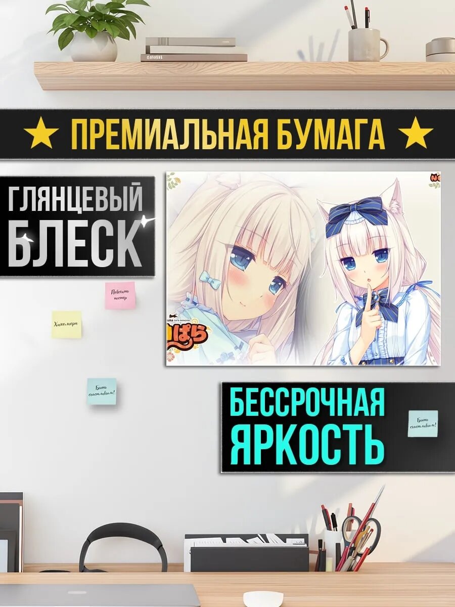 Плакат постер Кошачьи девушки — фото 1
