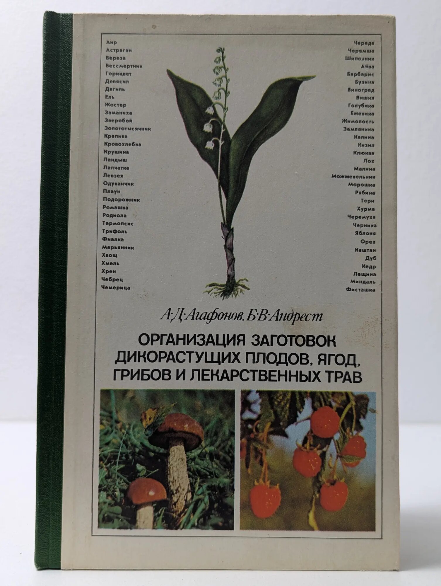 Организация заготовок дикорастущих плодов, ягод, грибов и лекарственных трав Агафонов Анатолий Дмитриевич, Андрест Борис Владимирович 1975