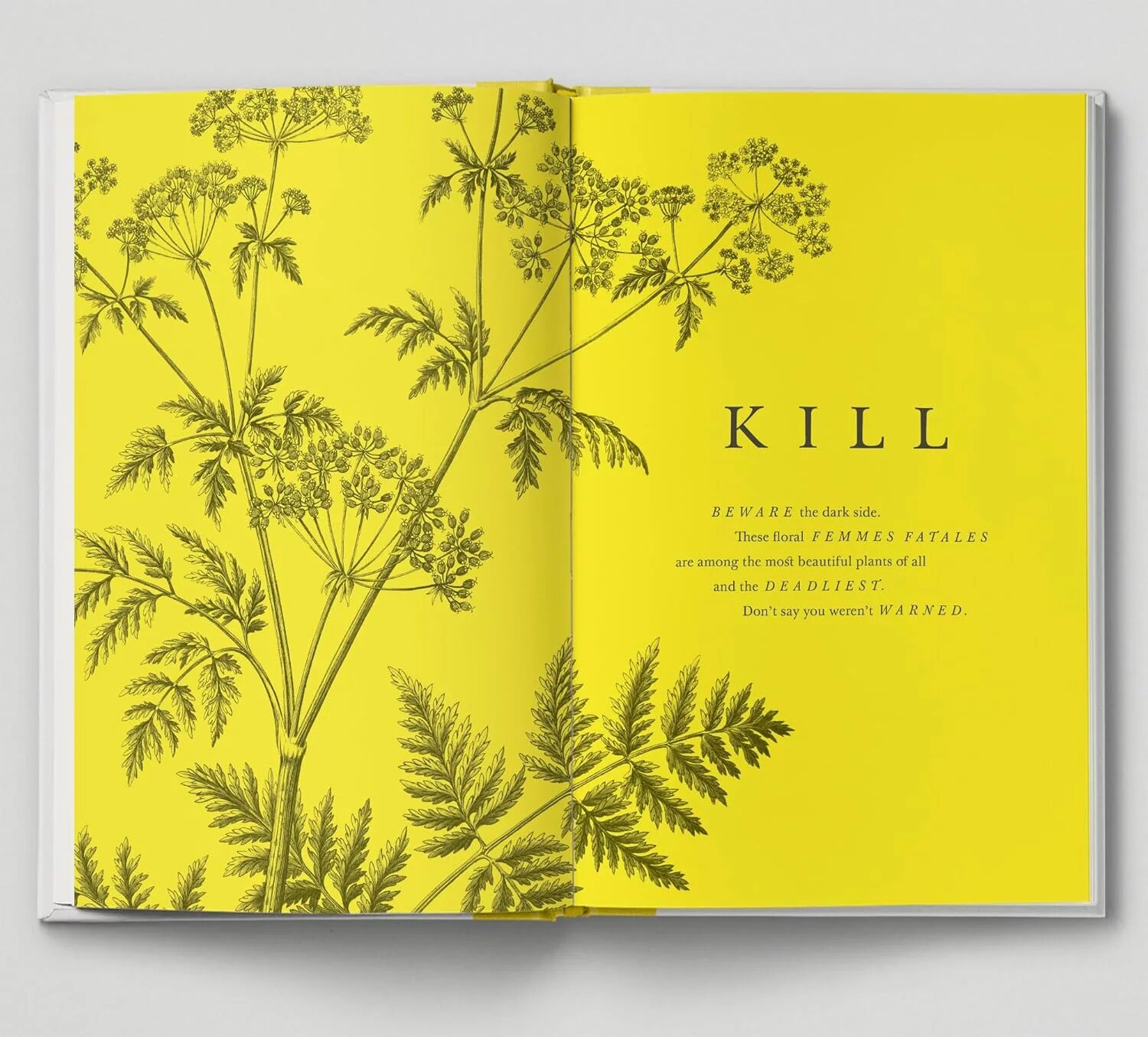 The Botanical City: A busy person's guide to the wondrous plants to find, eat and grow in the city