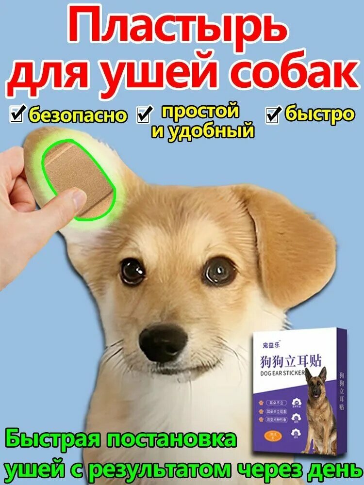 Бесхирургический фиксатор ушей для собак 4пластыря
