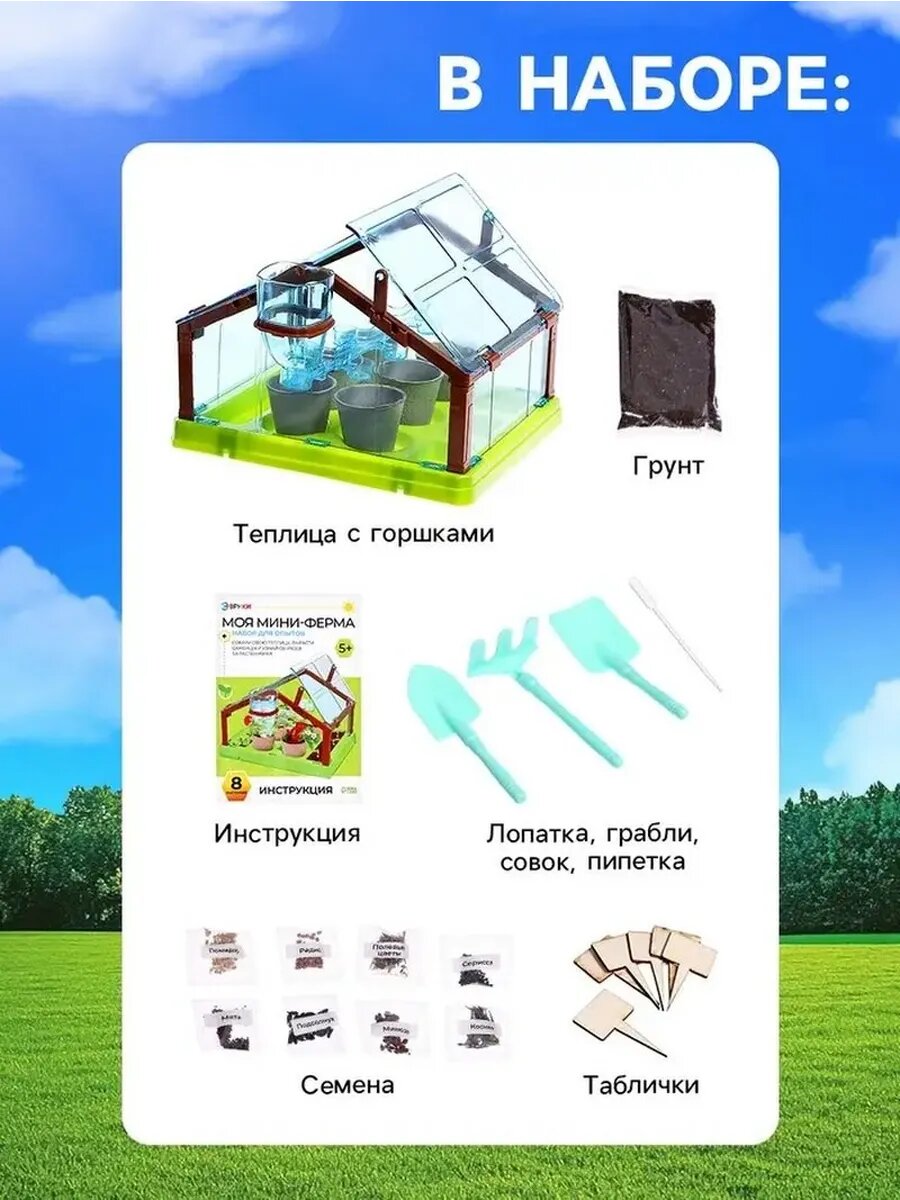 Удивительный набор для выращивания растений