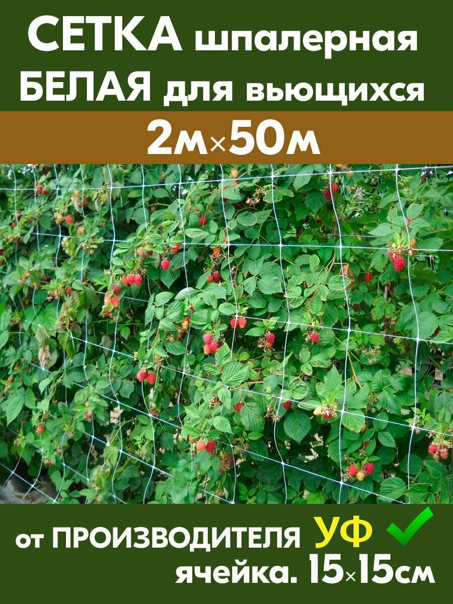 Сетка шпалерная для огурцов 1517см 2х50м белая цветов, подвязка для клематисов, гороха, вьющихся растений, для беседки, теплицы, грядок, пл.8г/м2 шпалерная сетка сетка для огурцов сетка для вьющихся р