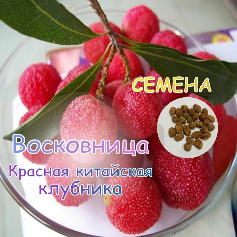 Семена Восковница, красная китайская клубника 6 шт.