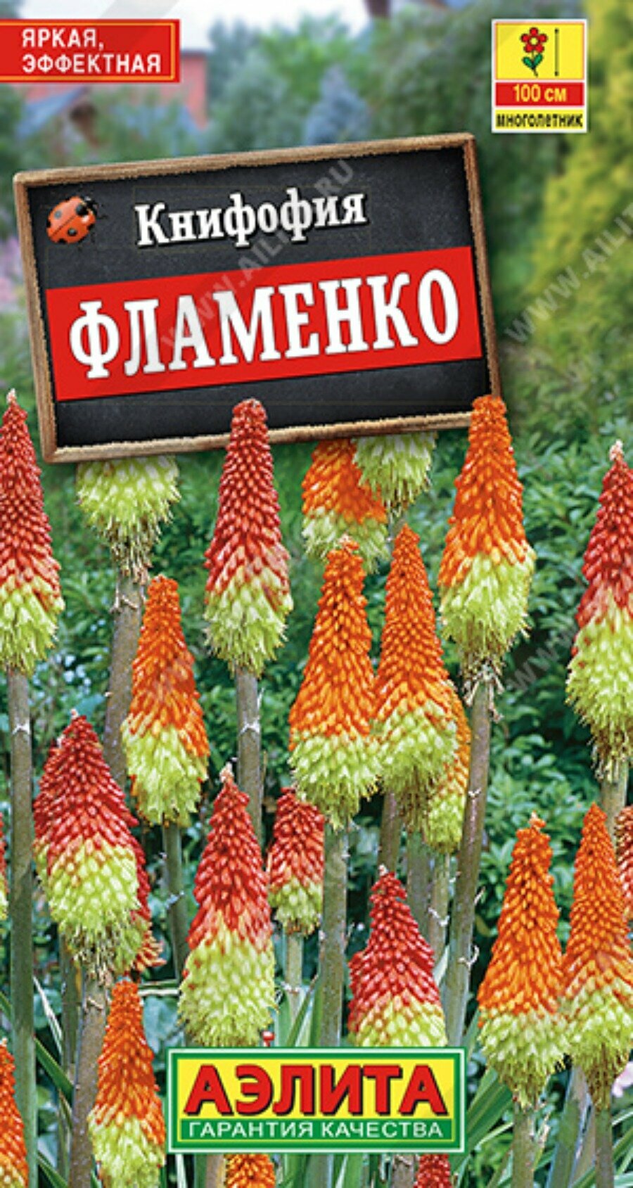 Семена Книфофия ягодная Фламенко (30 семян), Агрофирма Аэлита