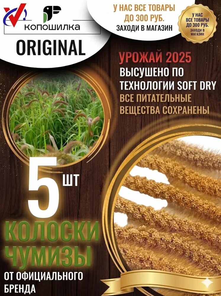 Чумиза для попугаев 5 шт. сенегальское просо лакомство игрушка для птиц и грызунов , урожай 2025 года - копошилка бренд от производителя