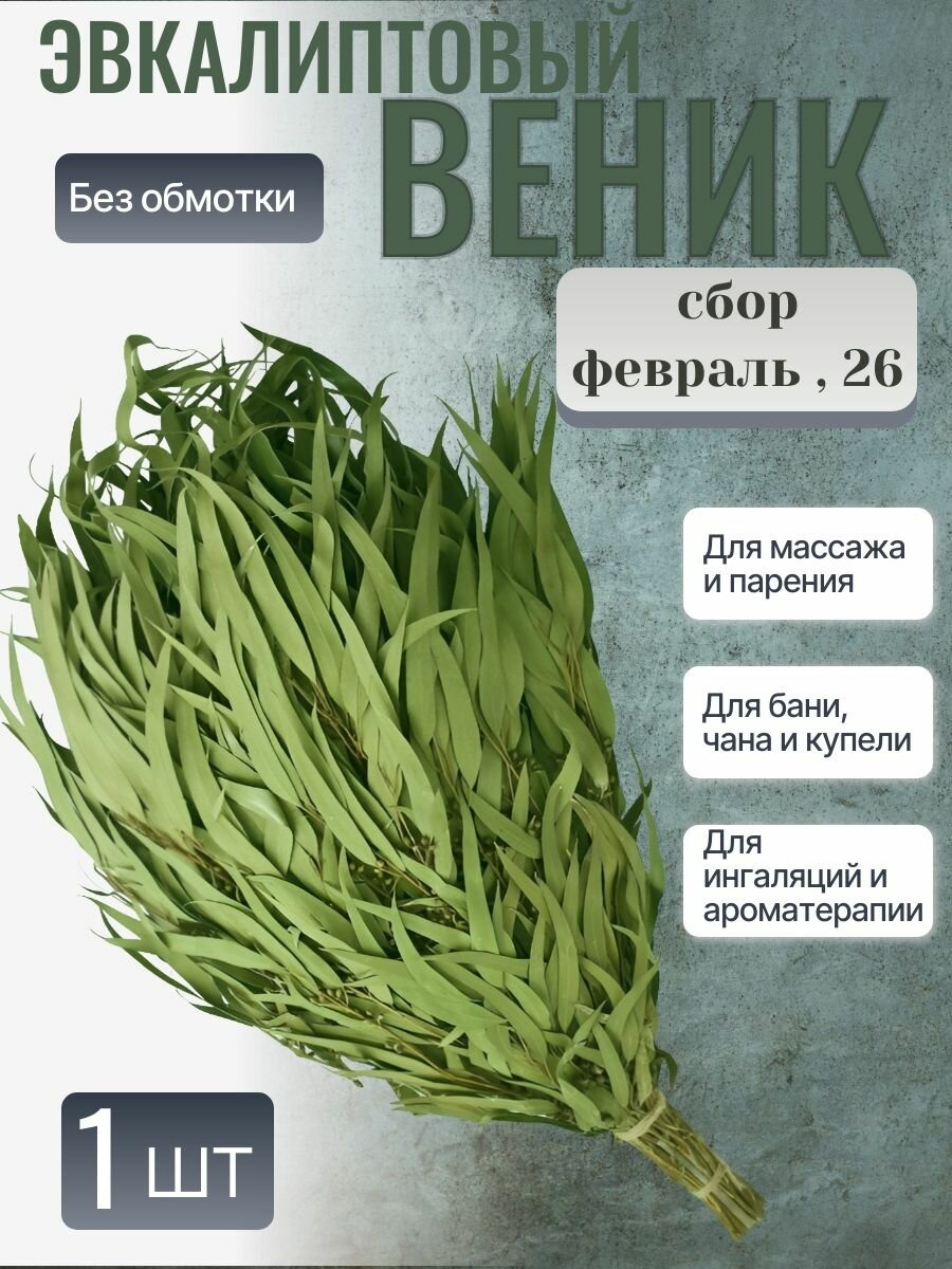 Веник для бани Эвкалиптовый, 1 шт.