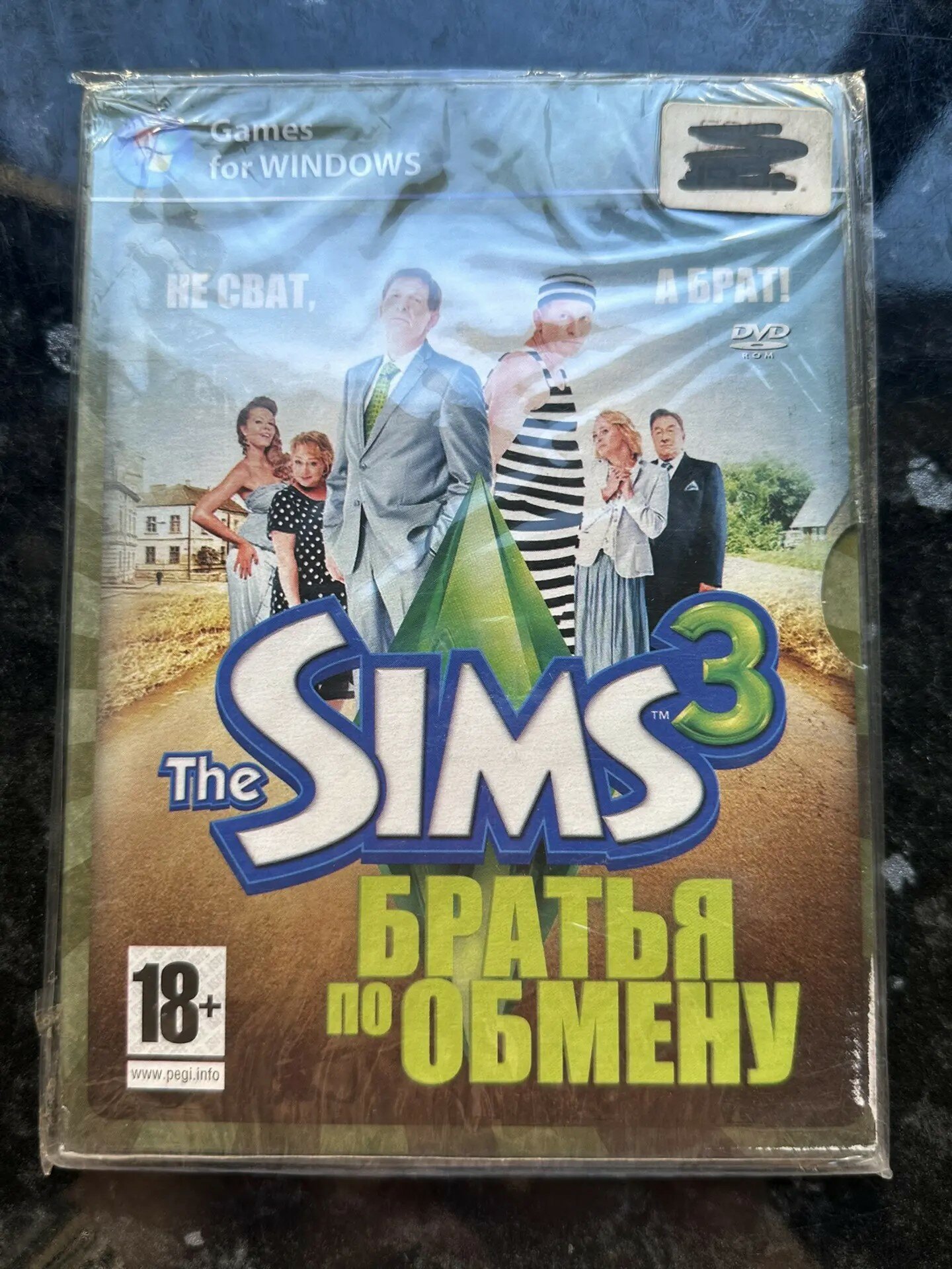 Sims 3 братья по обмену