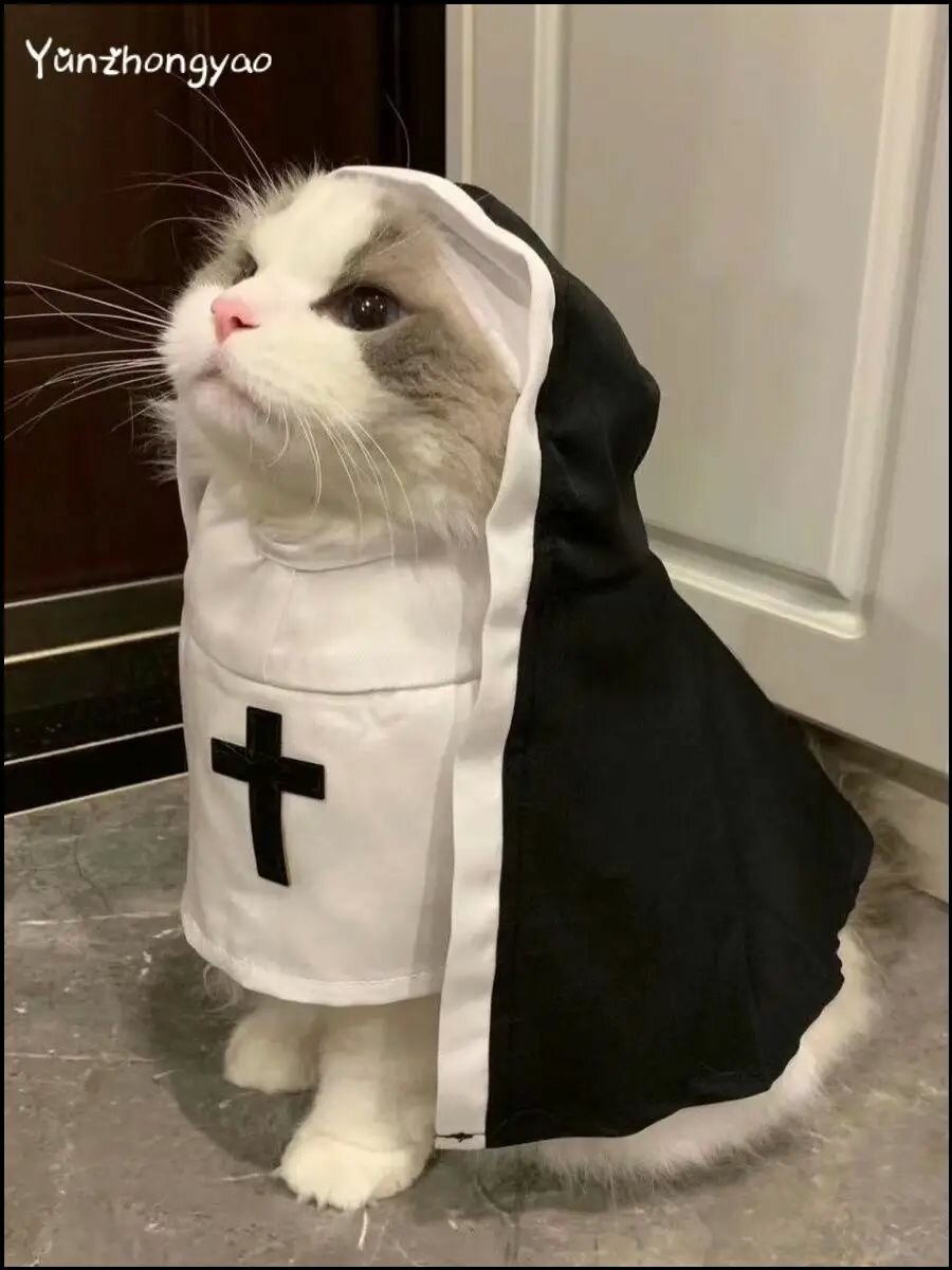 Yunzhongyao монахийский наряд, Смешная одежда для собак и кошек, COSPLAY, Хэллоуин