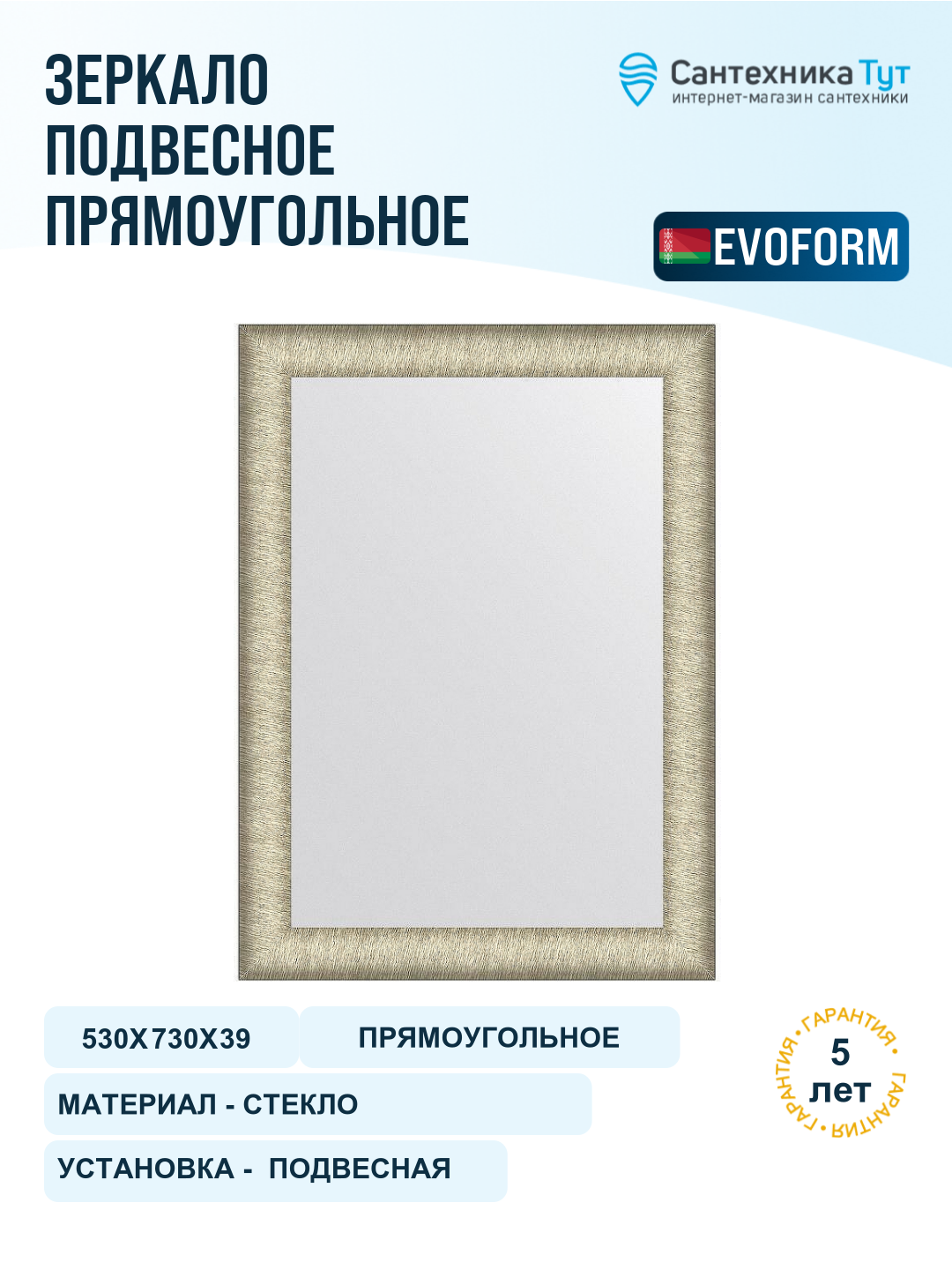 Зеркало Evoform Definite 73х53 BY 7604 в багетной раме - Брашированное серебро 59 мм