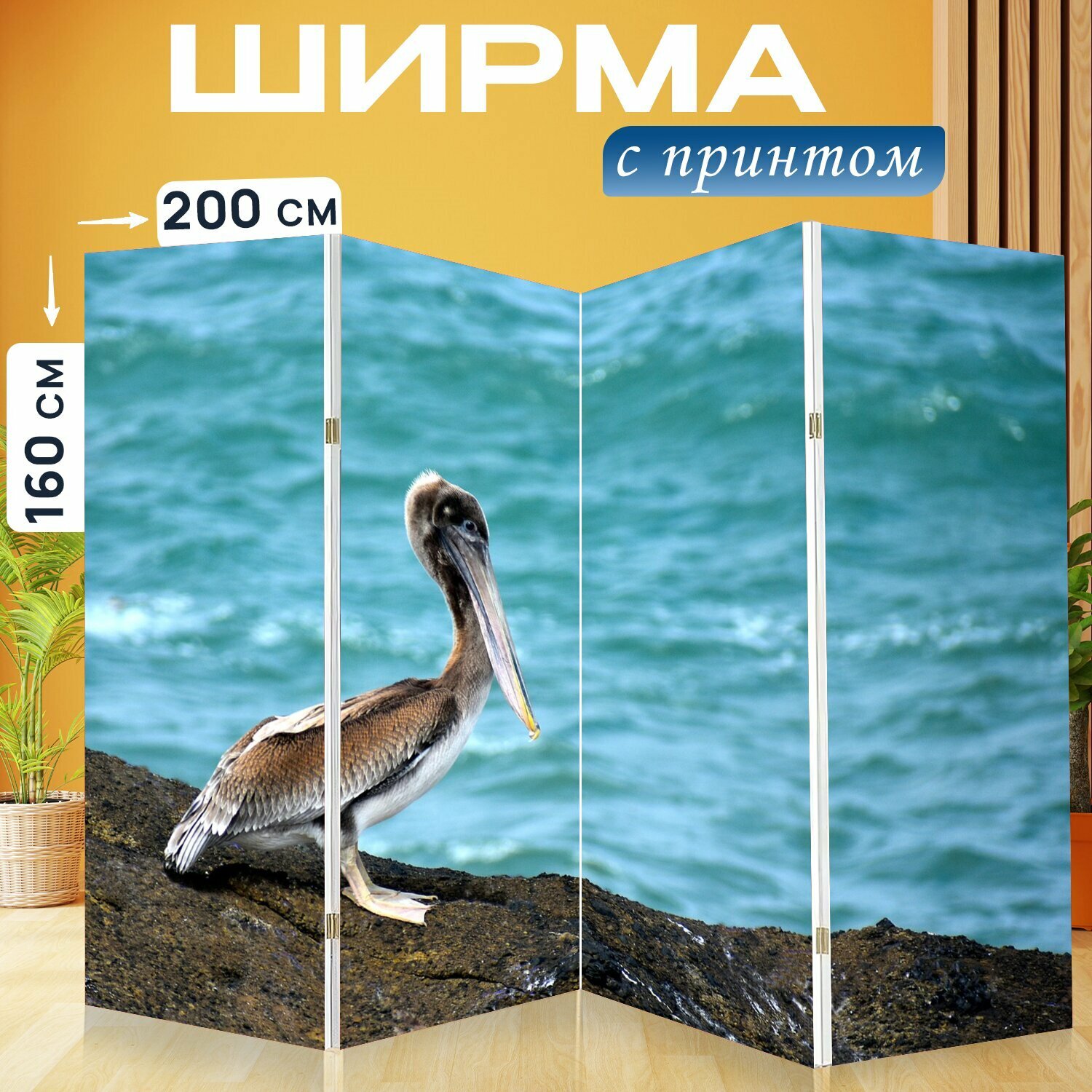 Ширма "Пеликан, прибрежную природу, птица" перегородка для зонирования комнаты с принтом 200x160 см. на холсте
