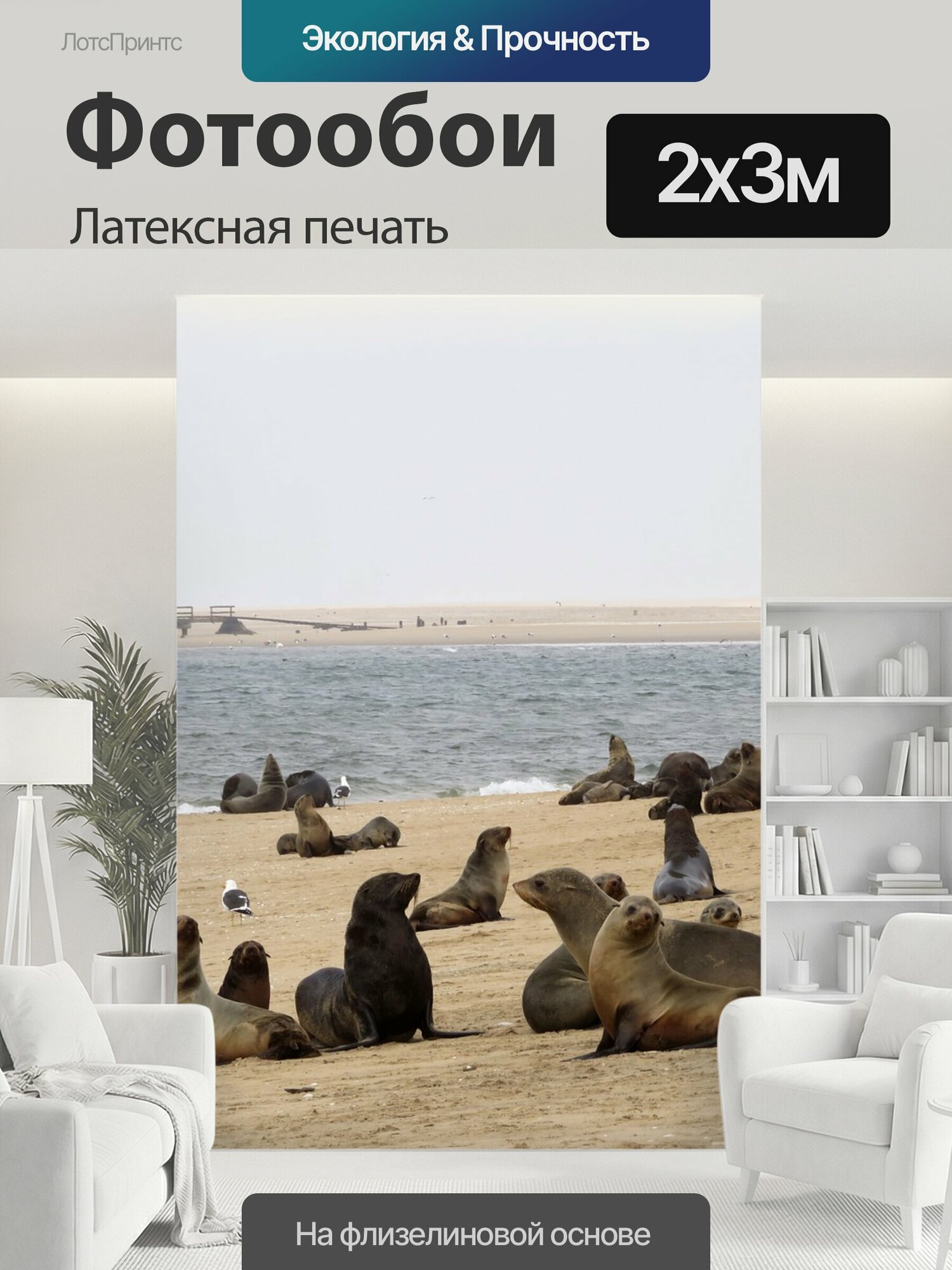 Фотообои моющиеся ударопрочные "Морские львы, тюленей, колония" 200x300 см. латексная печать