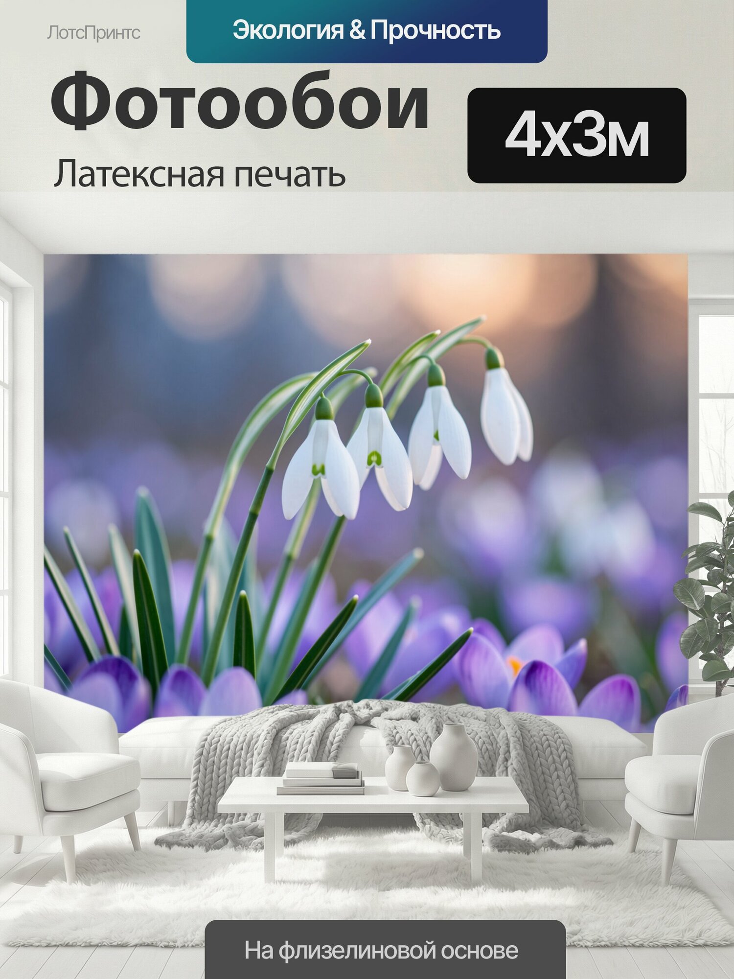 Фотообои моющиеся ударопрочные "Подснежники и крокусы весной. Нежный весенний сюжет с белыми поникающими цветами и фиолетовыми первоцветами на." 400x300 см. латексная печать