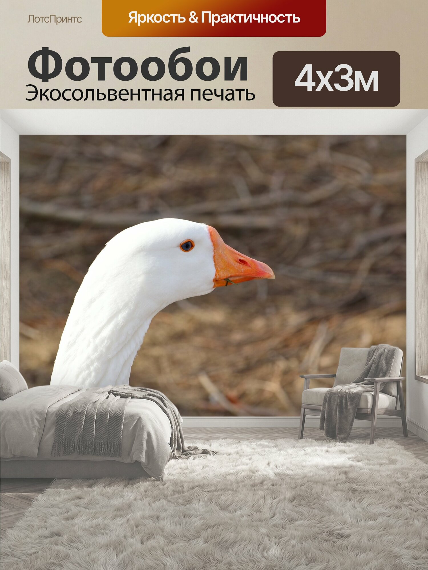 Фотообои "Большой снежный гусь, болотная птица, крупный план" 400x300 см. экосольвентная печать