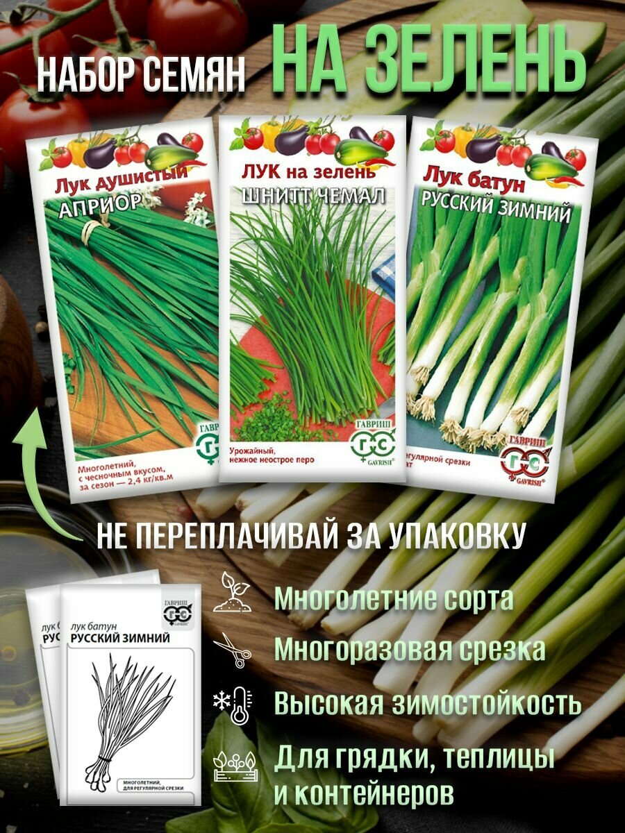 Семена лук на зелень лук на зелень семена лука зелень