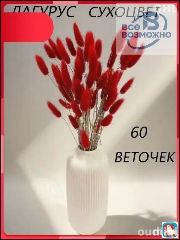 Сухоцветы Лагурус, 55 см, 100 гр, 60 шт
