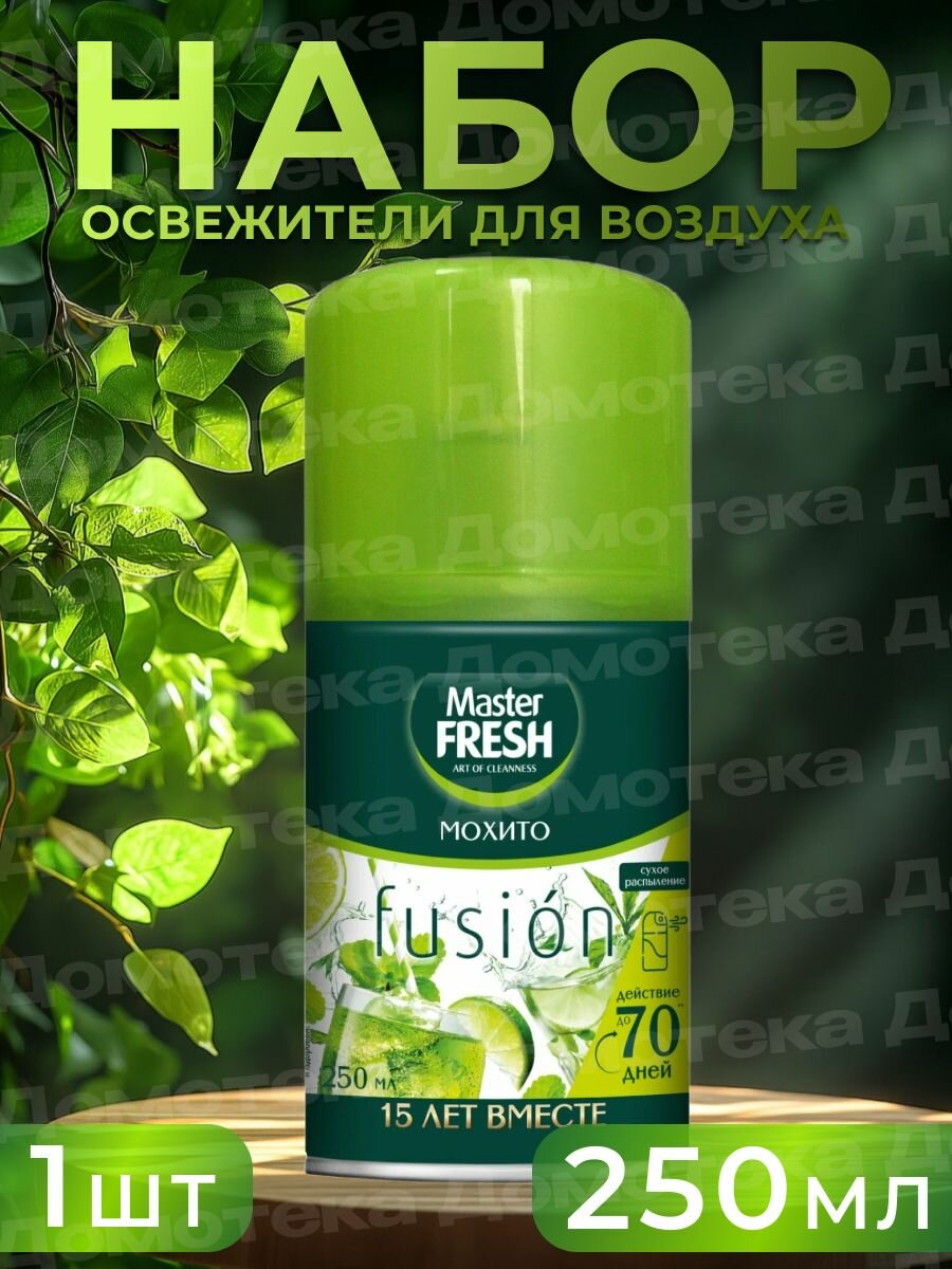 Сменный баллон Master fresh Мохито сухое распыление 250мл