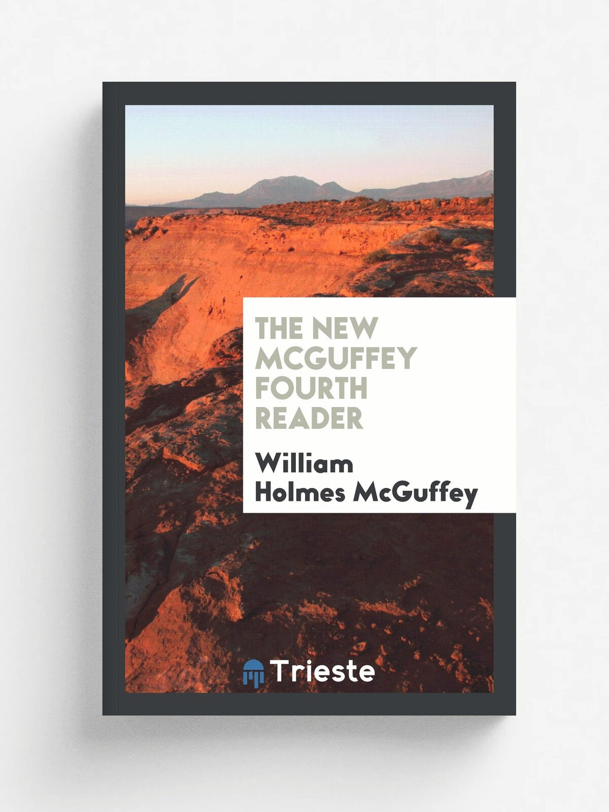 The New McGuffey Fourth Reader