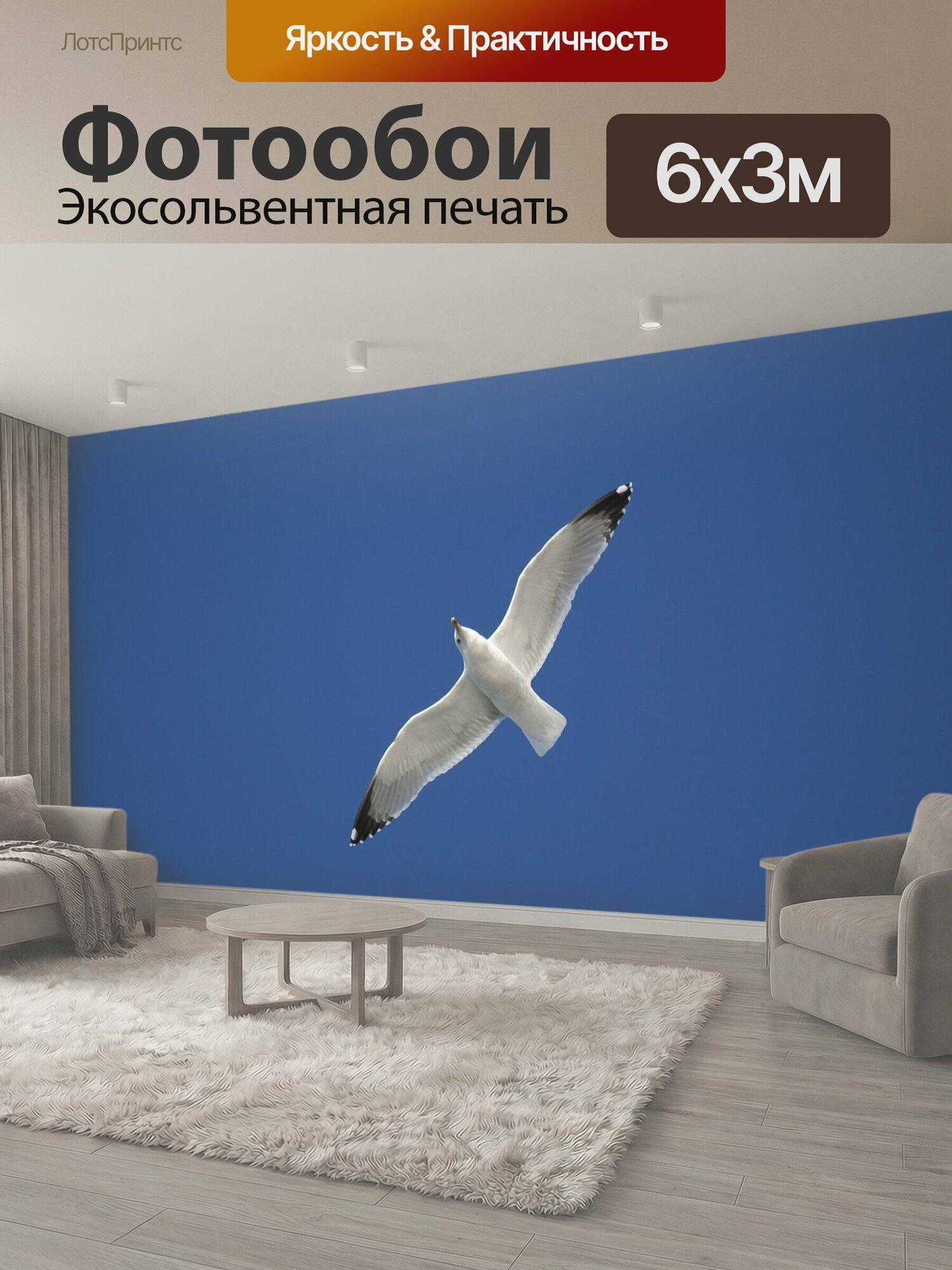 Фотообои "Чайка, aridae, зуек как" 600x300 см. экосольвентная печать