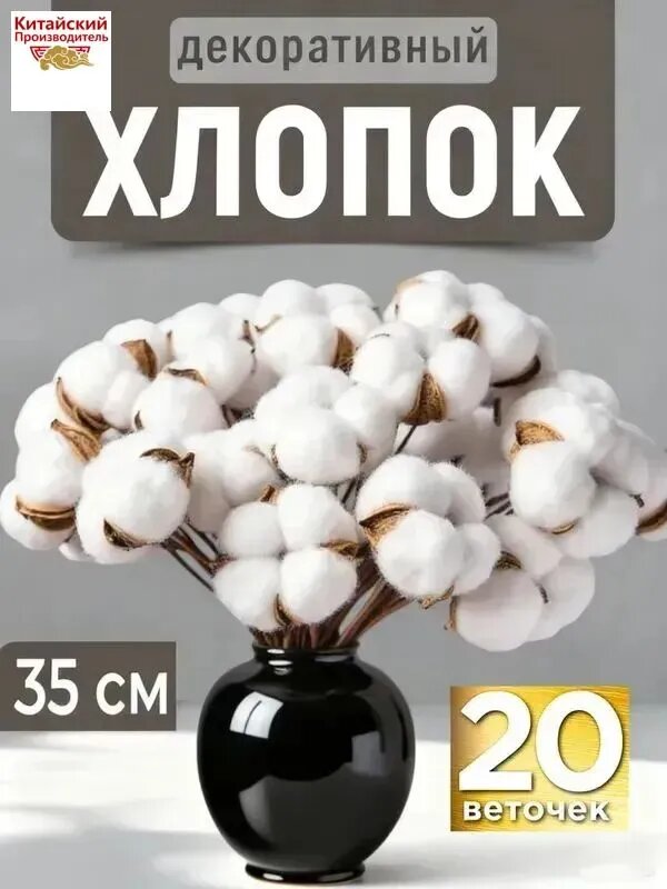 Сухоцветы Хлопок 35 см 20 шт белый