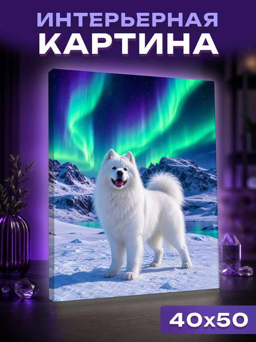 Интерьерная картина Самоед под северным сиянием