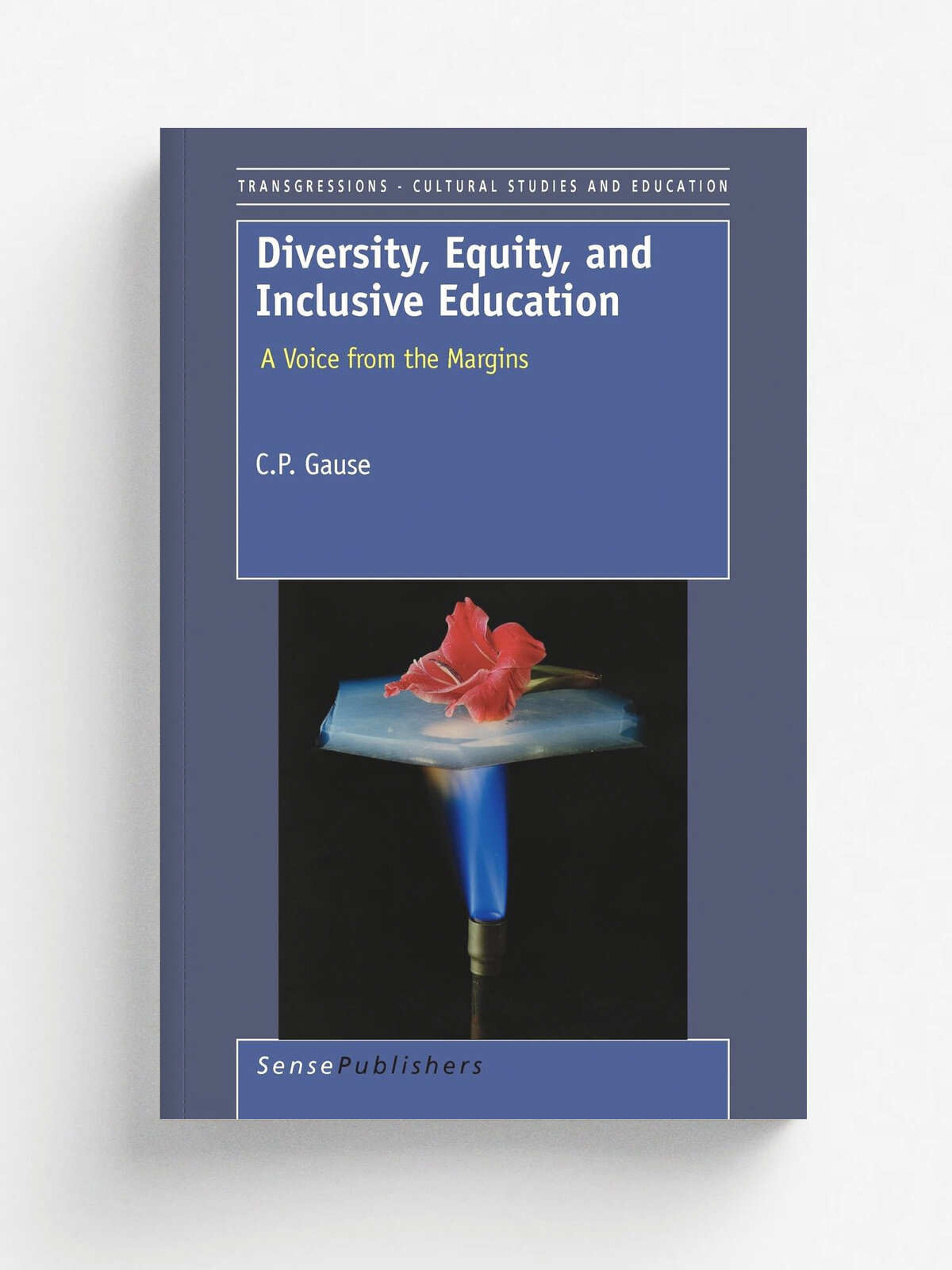 Diversity, Equity, and Inclusive Education. A Voice from the Margins