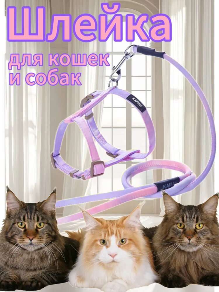 Шлейка для кошек и собак с поводком 1,2м, анатомическая, для малых и средних пород, размер S, цвет фиолетовый