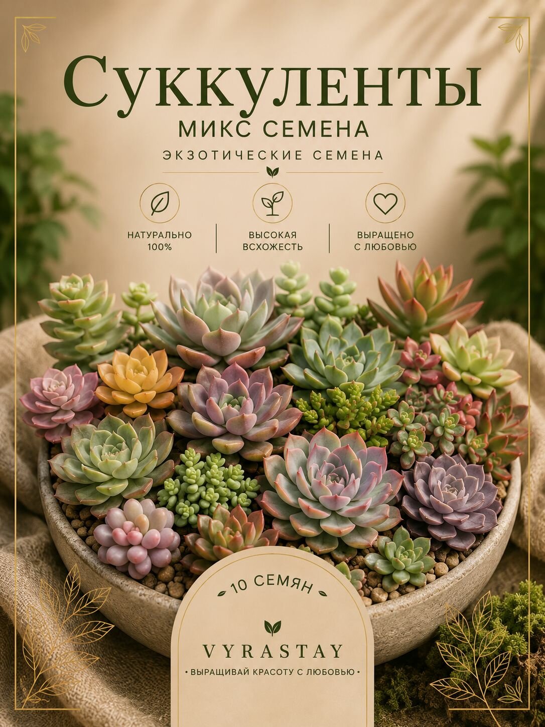Суккуленты микс, легкие и неприхотливые в уходе, семена 10 штук