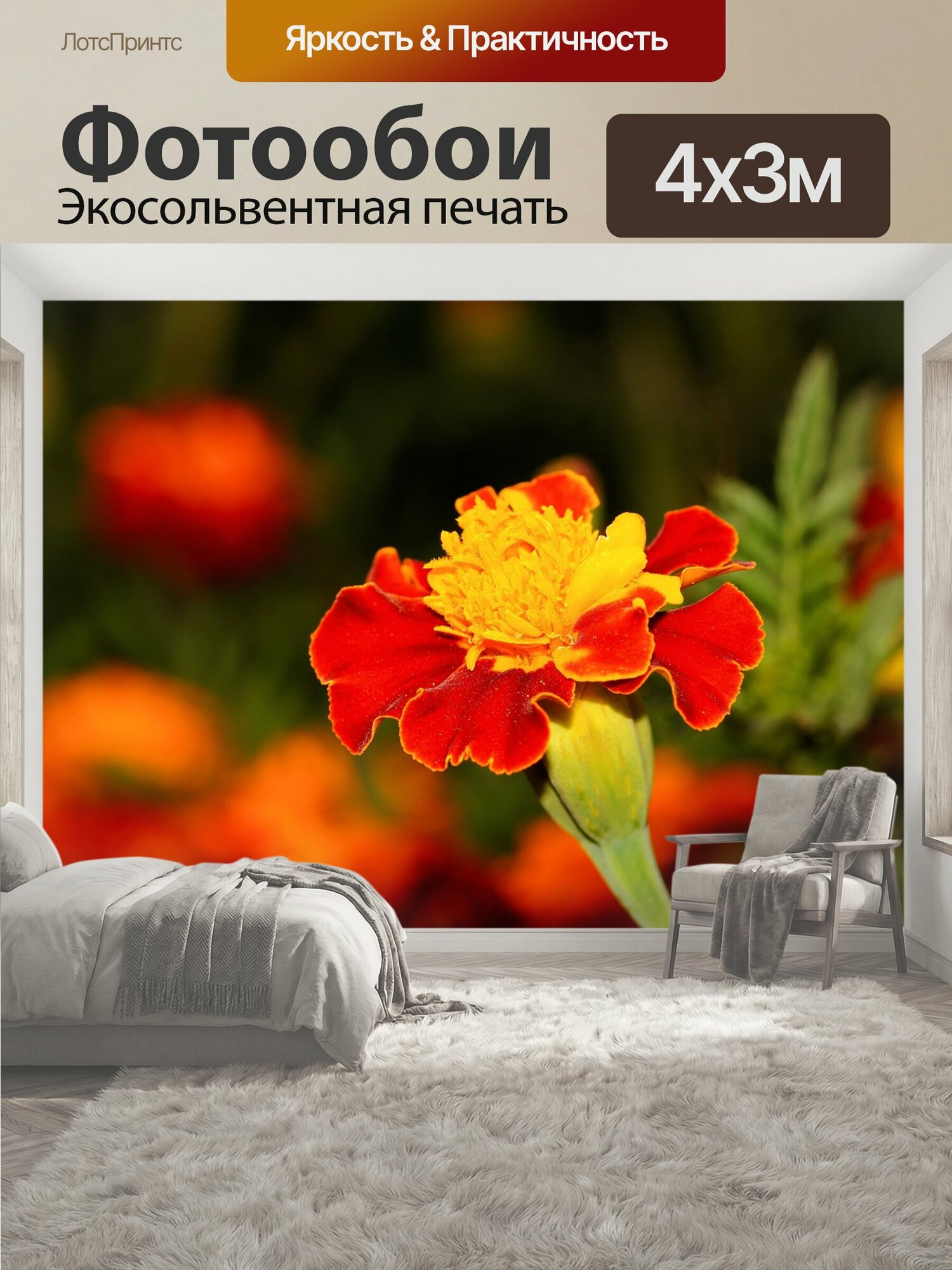 Фотообои "Бархатцы, цветок, цвести" 400x300 см. экосольвентная печать