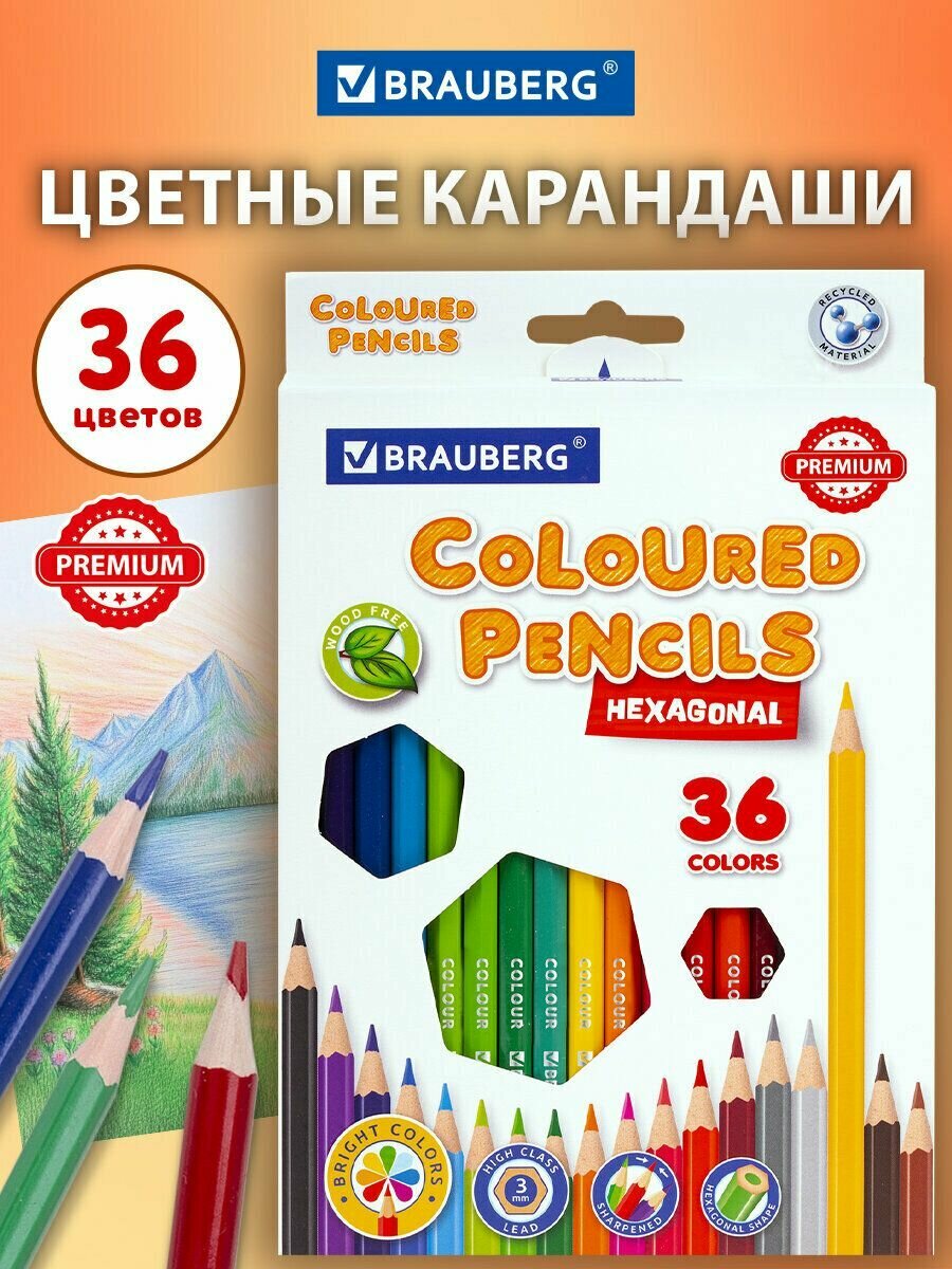 Карандаши цветные Brauberg Premium, 36 цветов, ударопрочные, шестигранные, грифель 3 мм шестигранные карандаши ударопрочный грифель набор 36 штук