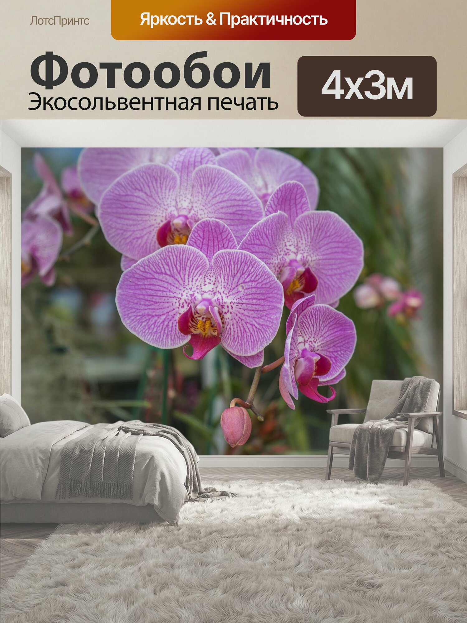 Фотообои "Орхидея, фиолетовый, полосатый" 400x300 см. экосольвентная печать