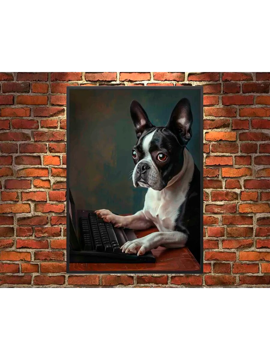 Бостонские терьеры-собаки-программисты 1, Плакат 30x42см