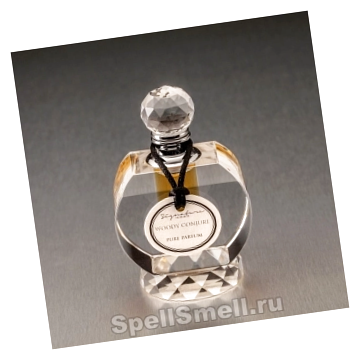 Сигнэчэ Вуди Конжер 100 мл духи / Signature Fragrances Woody Conjure мужской