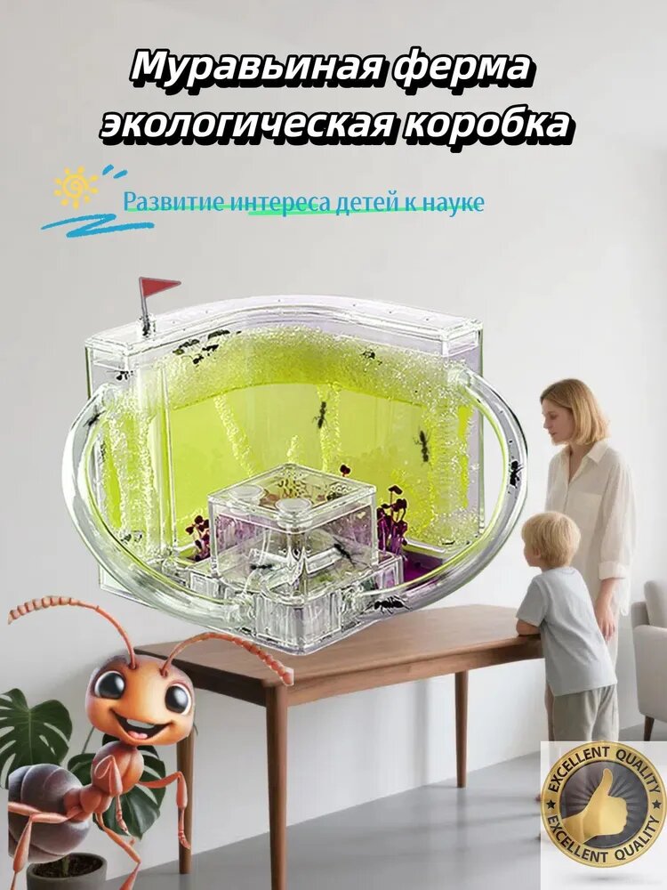Муравьиная ферма Maxi, экологическая коробка