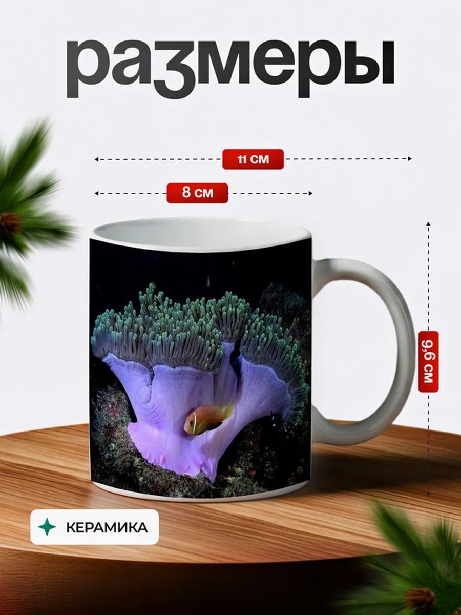 Кружка Эйлат город 3, — фото 1